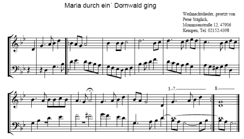 Unleashed - Terry, Peter